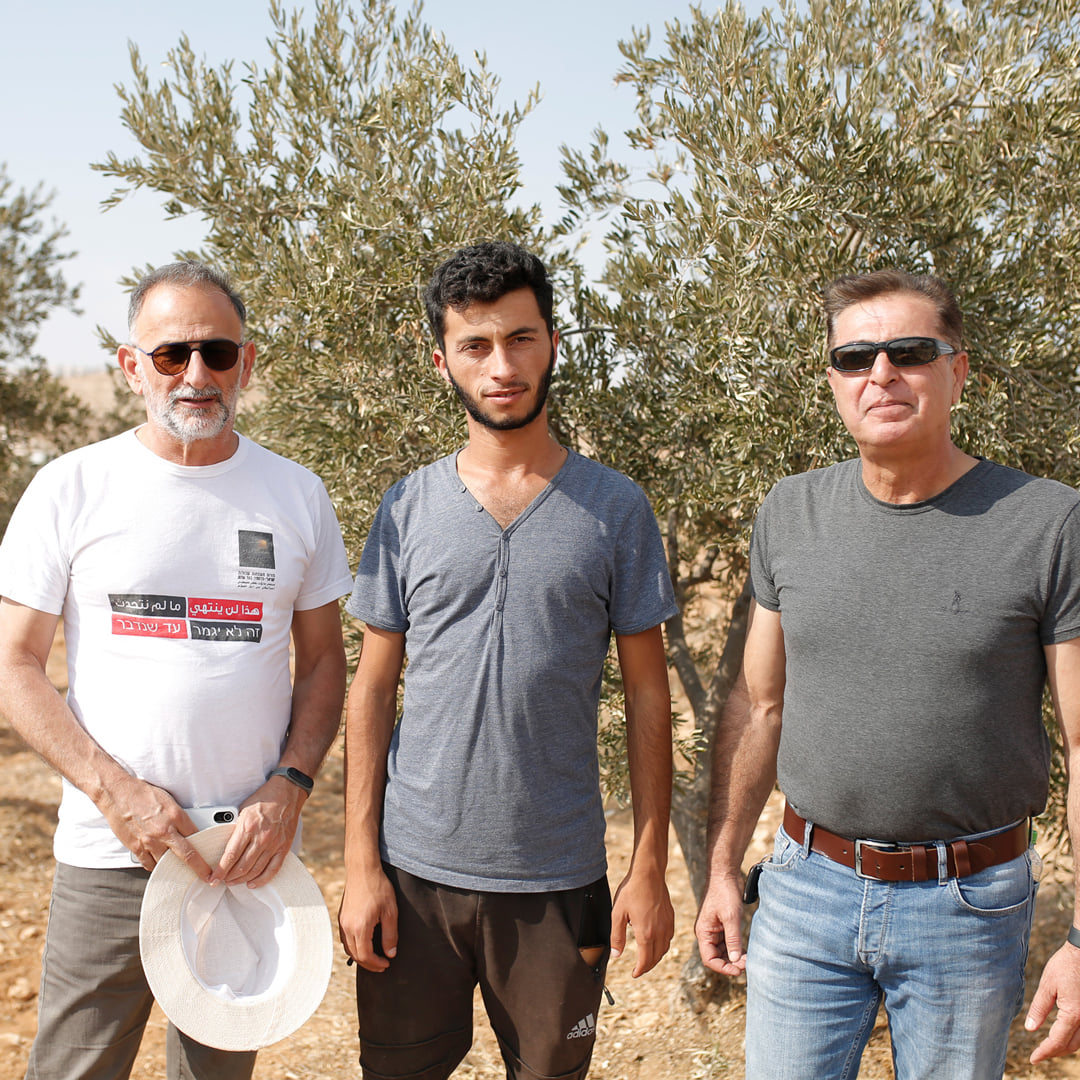 Olive Harvest in At-Tuwani - American Friends of the Parents Circle